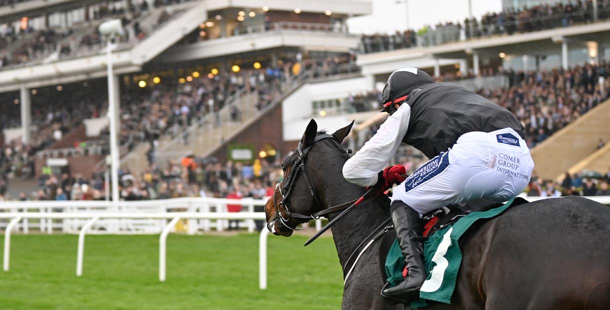 Cheltenham Festival 2025 Recap: Shocks, Surprises, and Big Wins ...